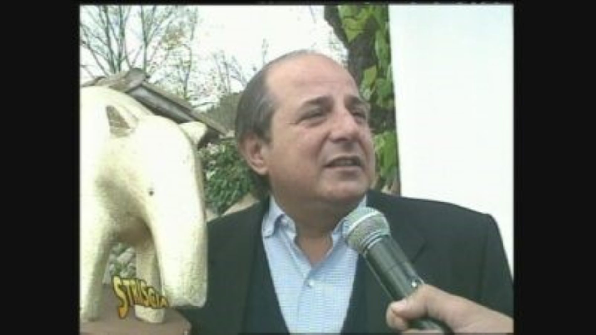 Tapiro d’oro a Magalli - Striscia la notizia