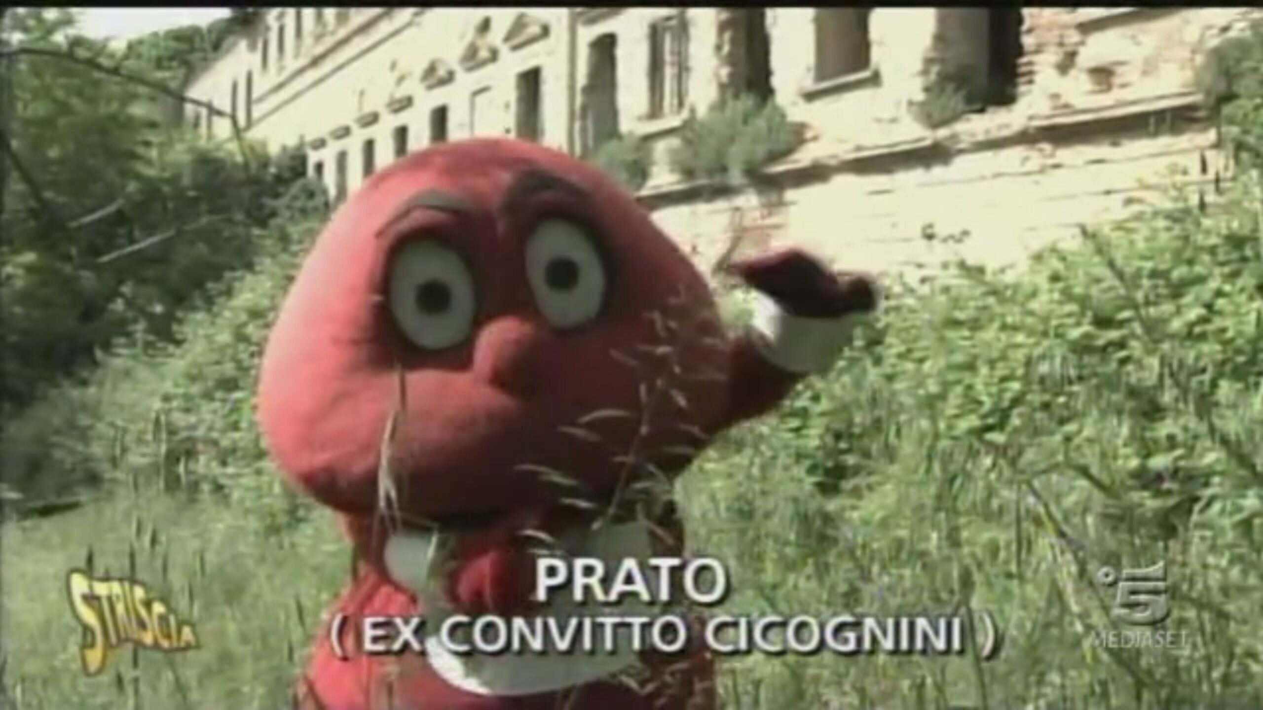 Ex convitto Cicognini a Prato - Striscia la notizia