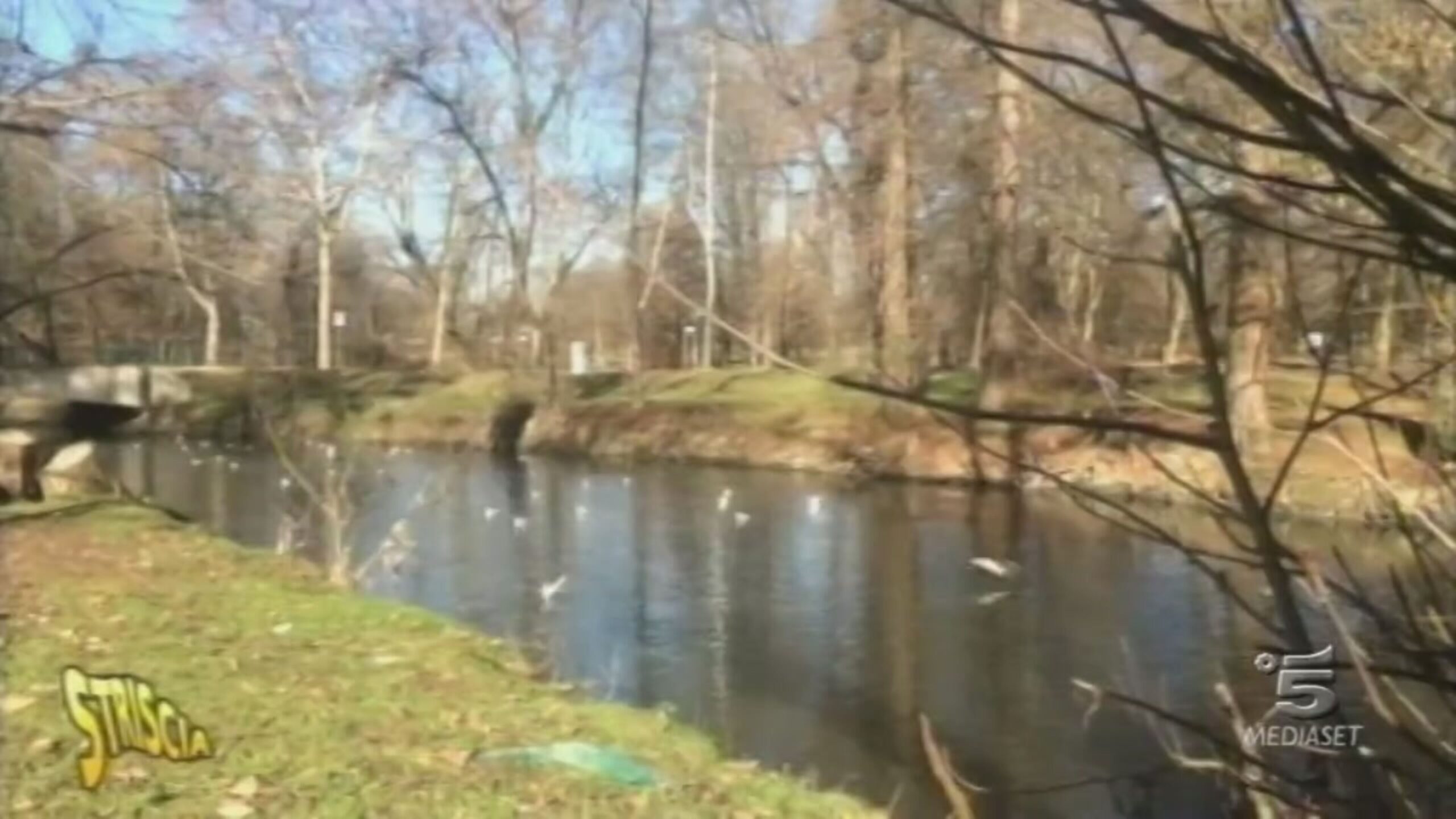 Fiume Lambro a Milano - Striscia la notizia