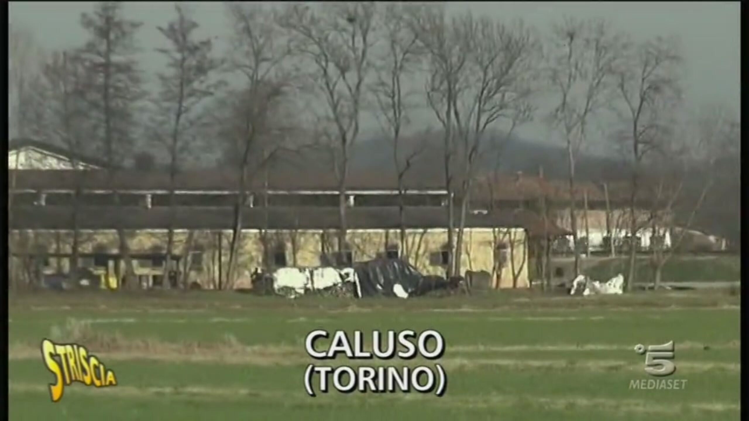 Cavalli in difficoltà a Caluso (Torino) - Striscia la notizia