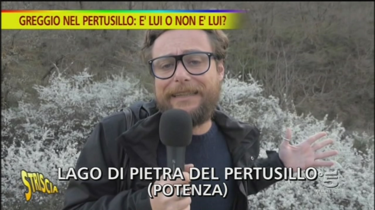 Greggio nel Pertusillo: è lui o non è lui? - Striscia la notizia