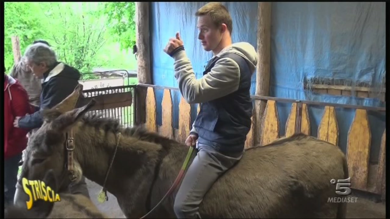 Pet therapy - Striscia la notizia