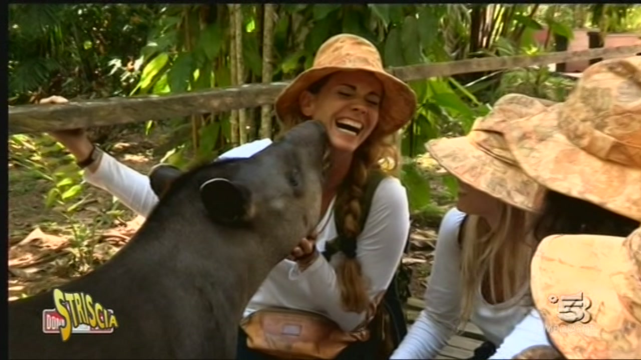 Tapiro a Valerio Staffelli - Striscia la notizia