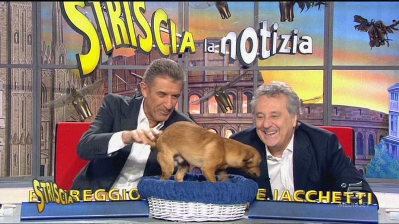 Puntata del 12/01/2013 - Striscia la notizia