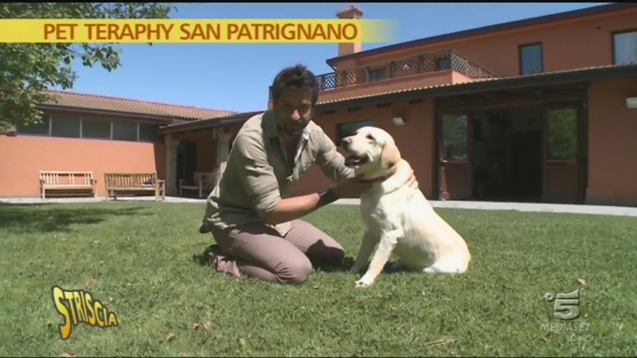 Pet therapy - Striscia la notizia