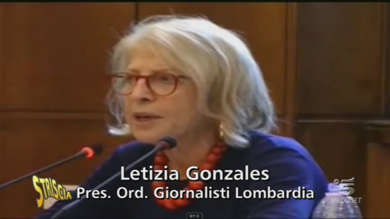 Mettici la faccia: la critica - Striscia la notizia