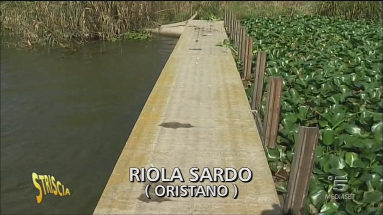 Il corso del fiume - Striscia la notizia