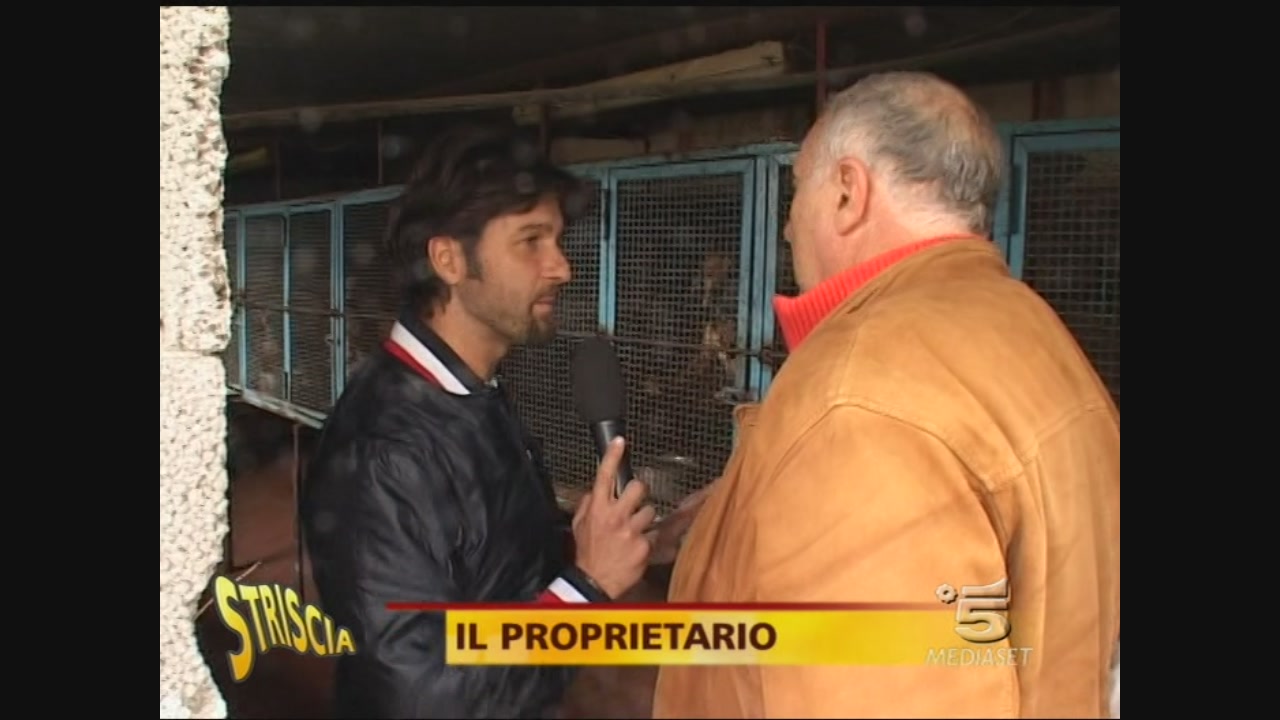 Edo Stoppa in Sicilia - Striscia la notizia