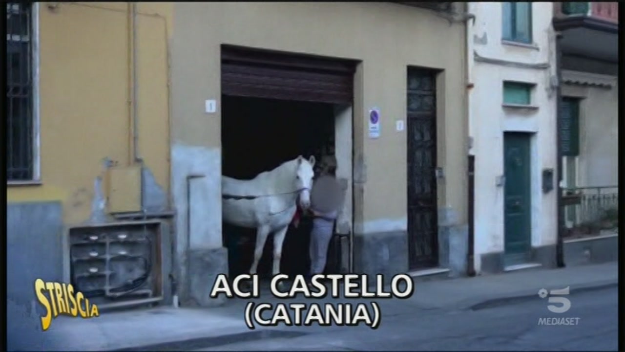 Il cavallo in garage - Striscia la notizia