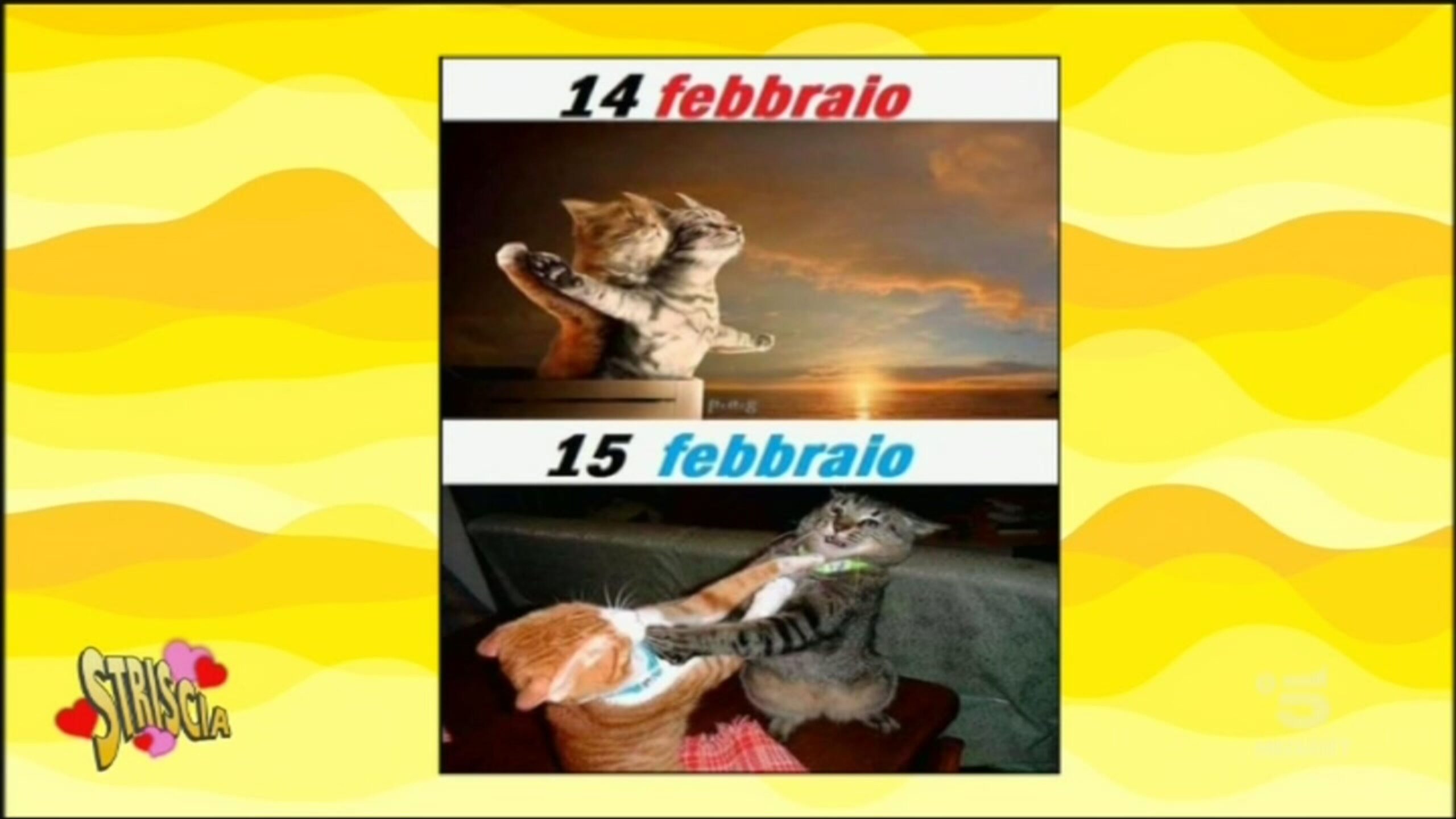 I meme più belli di San Valentino - Striscia la notizia