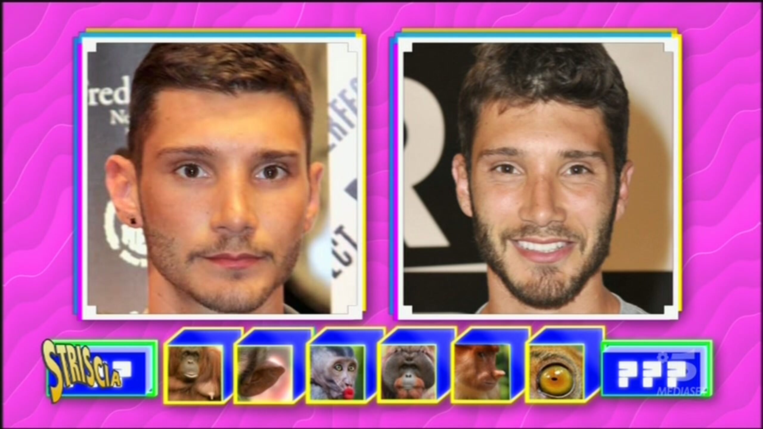Fatti e rifatti, Stefano De Martino piace a tutti - Striscia la notizia