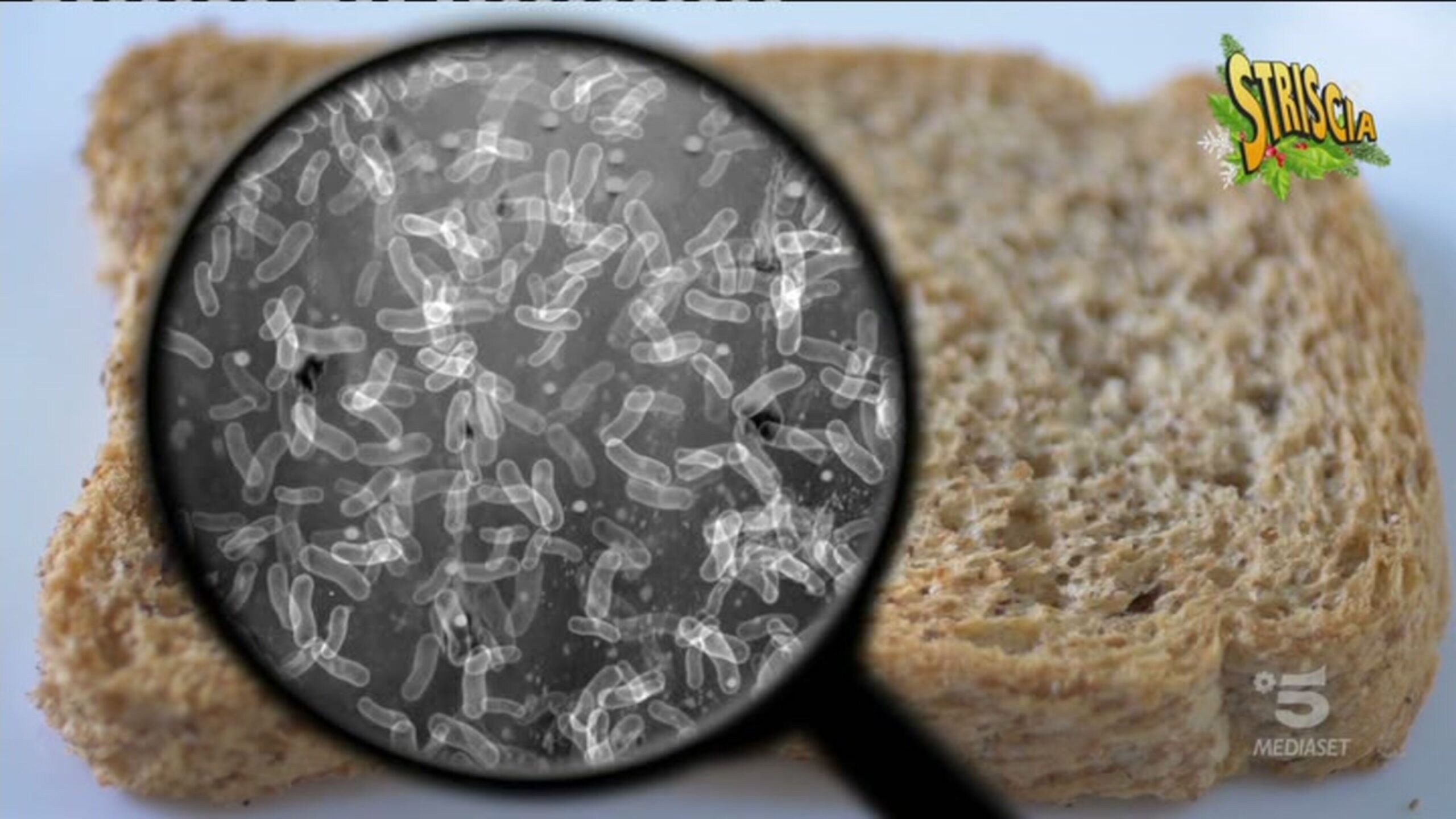 La vita dei prodotti freschi confezionati - Striscia la notizia