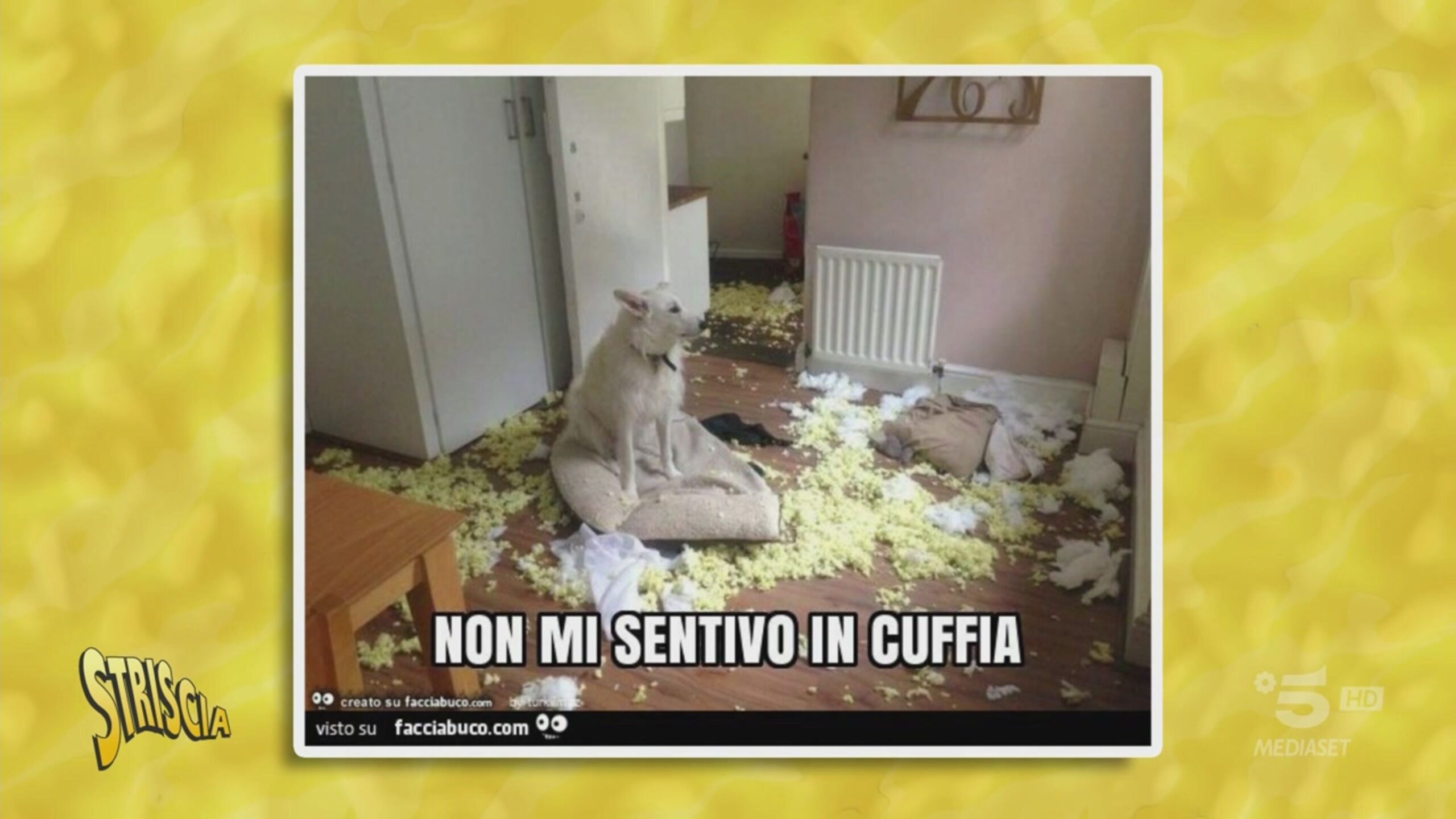 Meme Divertenti Sulla Pesca