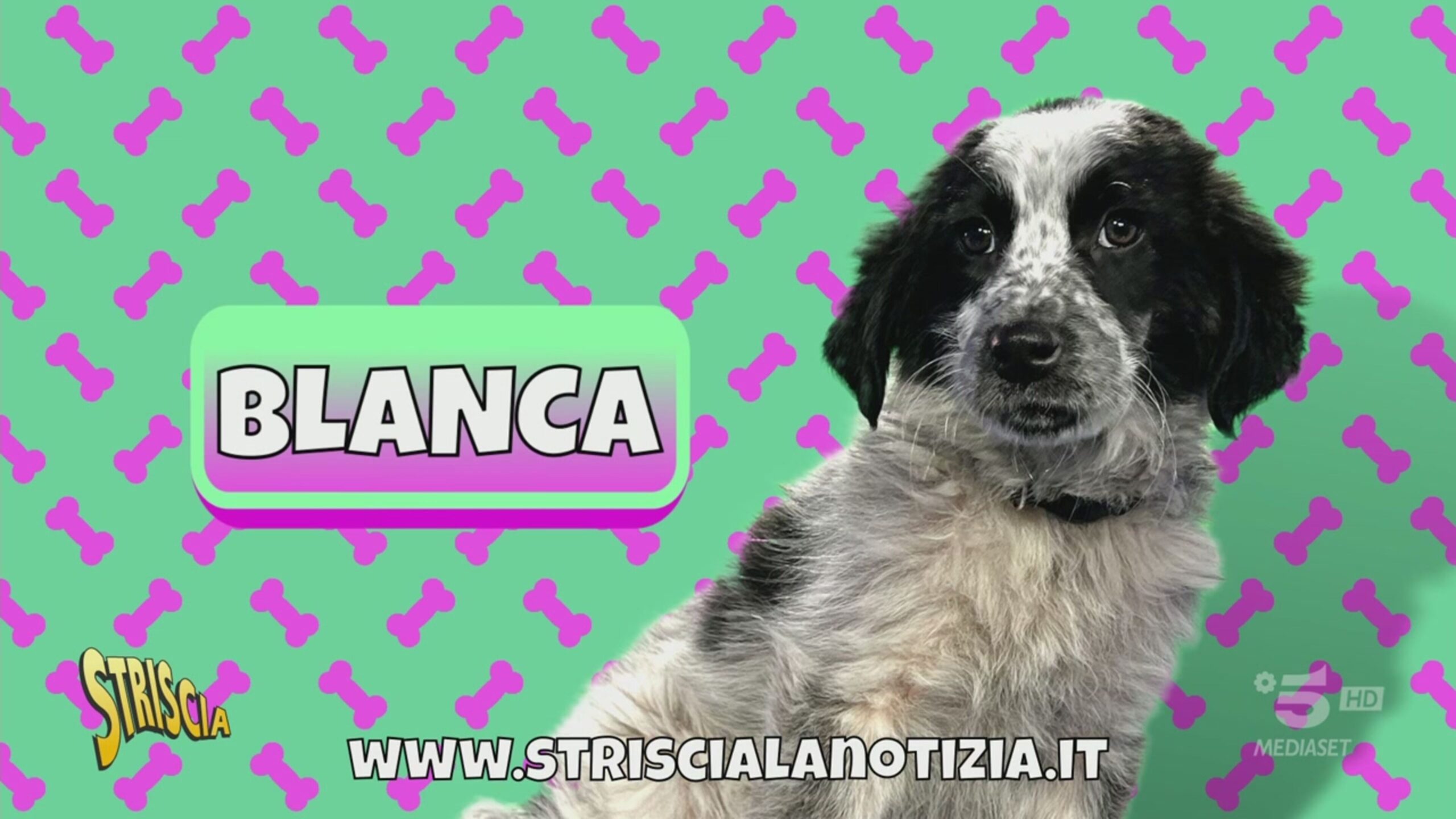 Il popolo di Striscia ha scelto: si chiama Blanca - Striscia la notizia