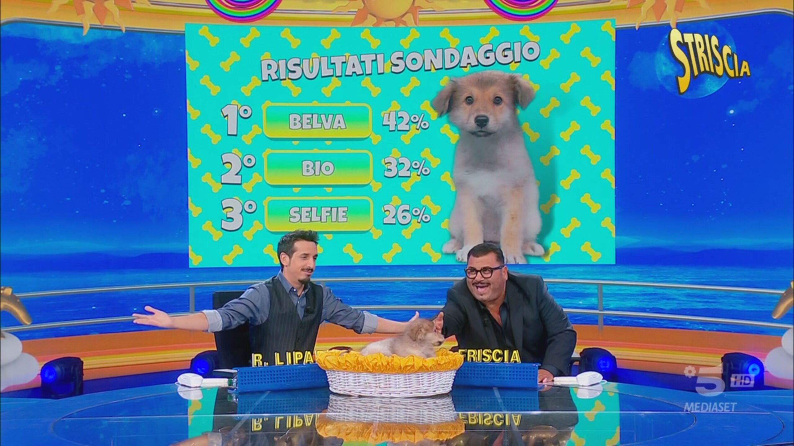 Ecco a voi… la Belva più tenera del mondo - Striscia la notizia