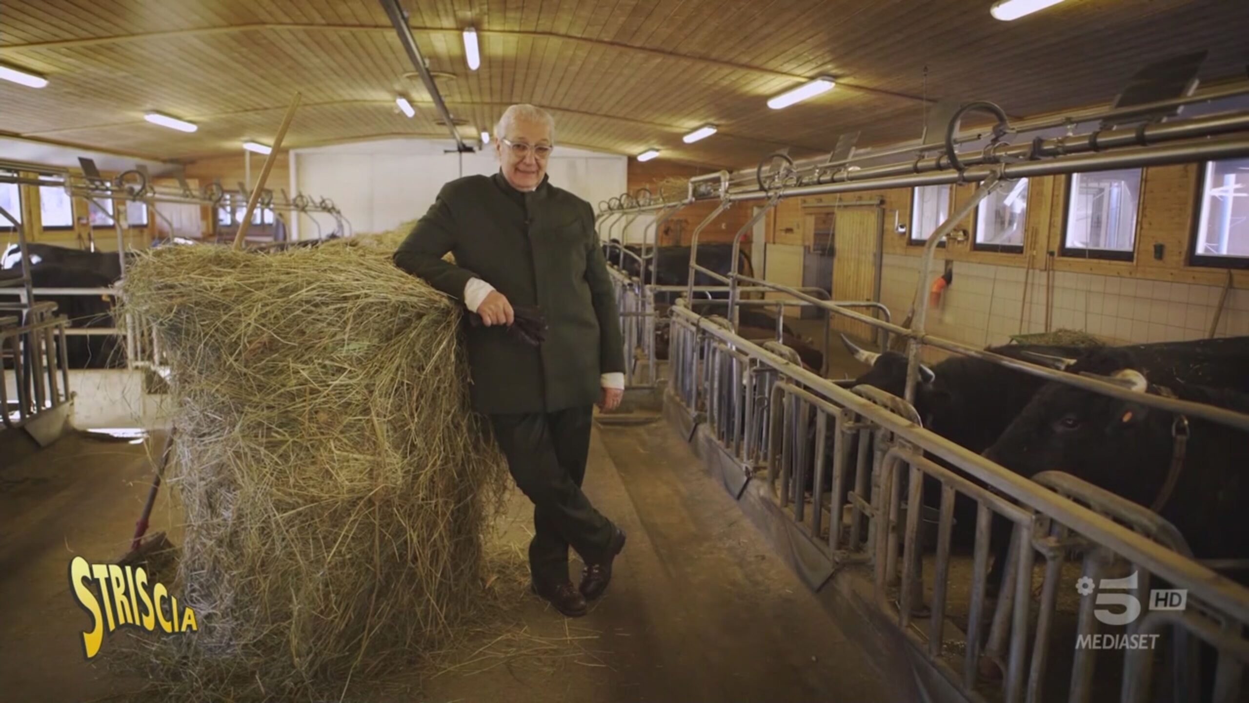 Davide Rampello e i formaggi delle Regine - Striscia la notizia