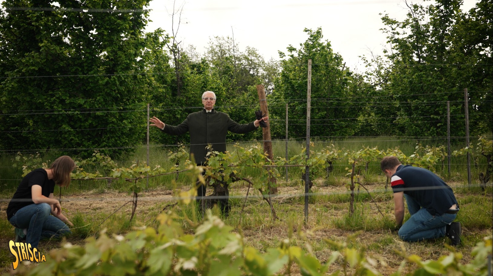 Questa sera a Striscia Davide Rampello e il “Dolcetto” delle origini ...